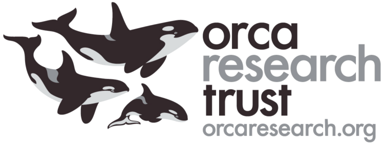 Antarctic Orca - Orca Research Trust